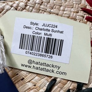 Hat Attack | Accessories | Nwt Revolve Hat Attack Charlotte Raffia ...